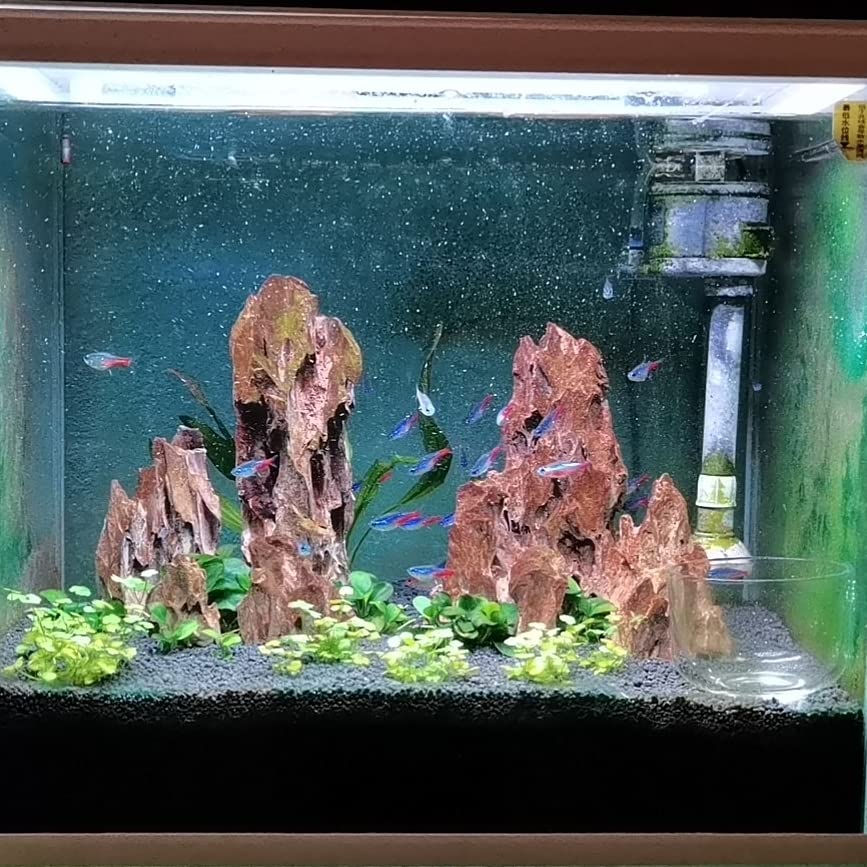 AWXZOM 4.4lb+ Natural Dragon Rock Carefully Selected Mixed Sizes, Decorative Aquarium Rocks, Aquarium Stones for Fish Tank