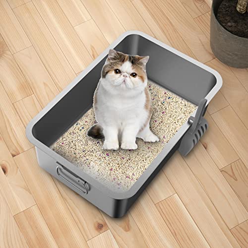 Milageto Rabbit Cat Litter Container Holder Stainless Steel with Scoop Rust Resistant Accessories Smooth Surface Simple to Clean Anti Splashing Durable, 50x35x10cm