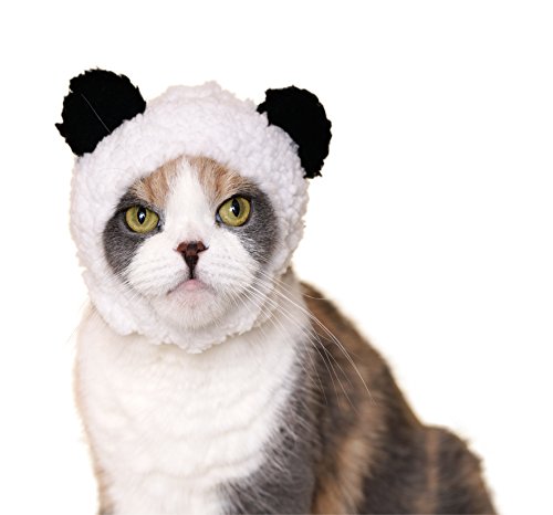 Kitan Club Cat Cap - Pet Hat Blind Box Includes 1 of 6 Cute Styles - Soft, Comfortable - Authentic Japanese Kawaii Design - Animal-Safe Materials, Premium Quality (Bear)
