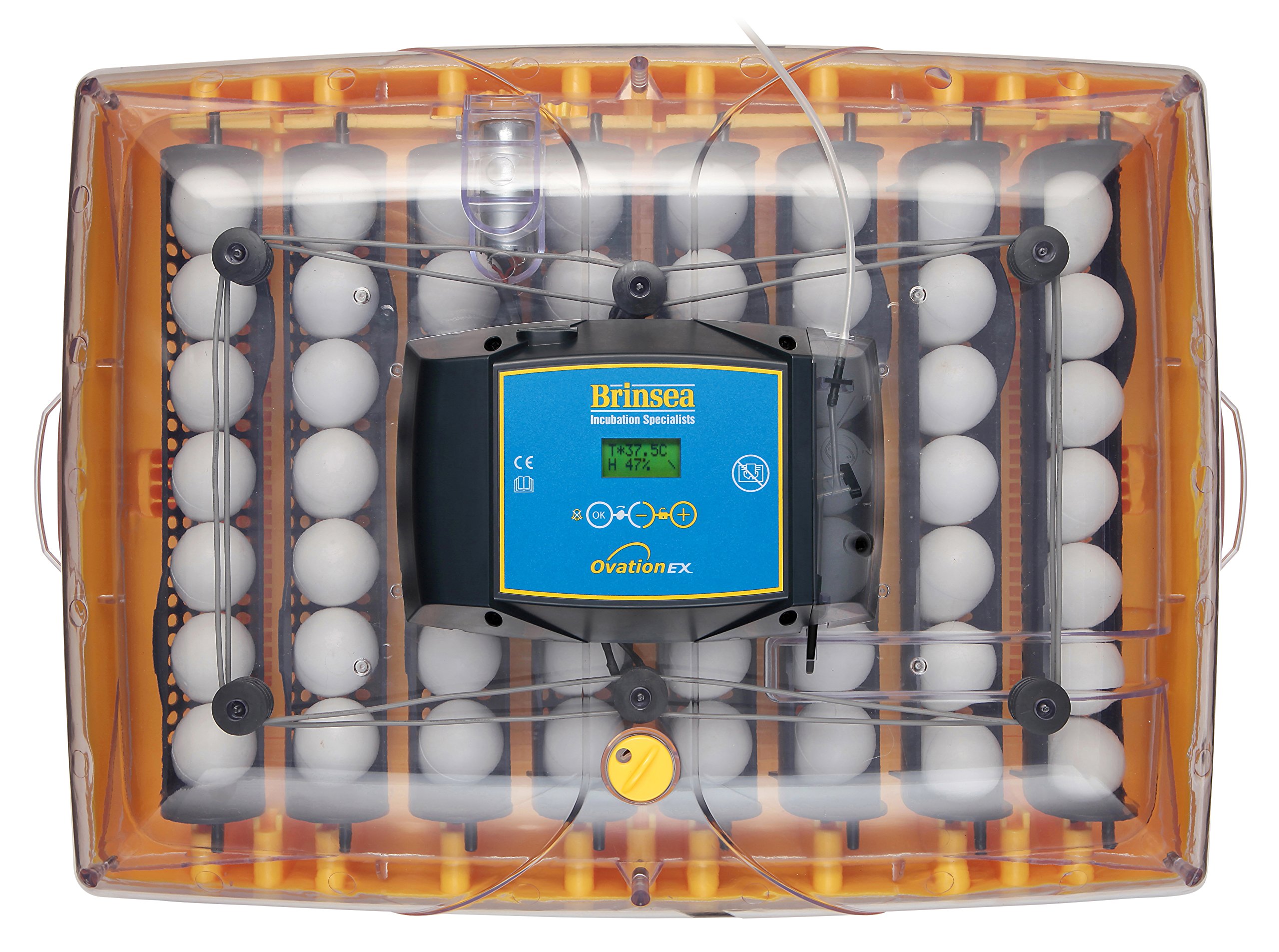 Brinsea Ovation 56 EX Egg Incubator With Automatic Egg Turning and Humidity Control for Hatching 56 Chicken, Duck, Other Bird Eggs, Precision Digital Controls, Temperature Alarms