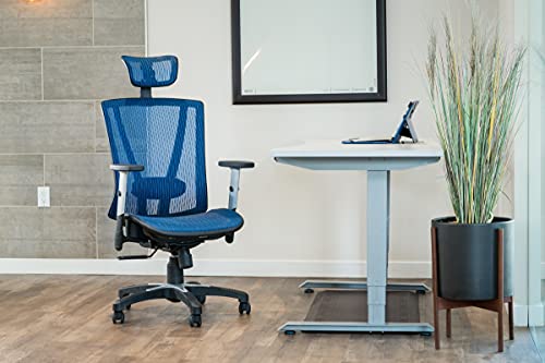 Ergomax MSH112BK Ergonomic Adjustable Home Office All Mesh Desk, Lumbar Support & Back Relief Breathable Chair, 53 inch Max Height, Black