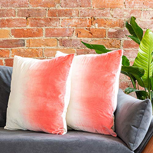 Refinery29 | Ombré Collection | Luxury Decorative Textured Throw Pillows, Ultra Soft with Stylish Modern Chic Design for Home Décor (Pillow, Coral)