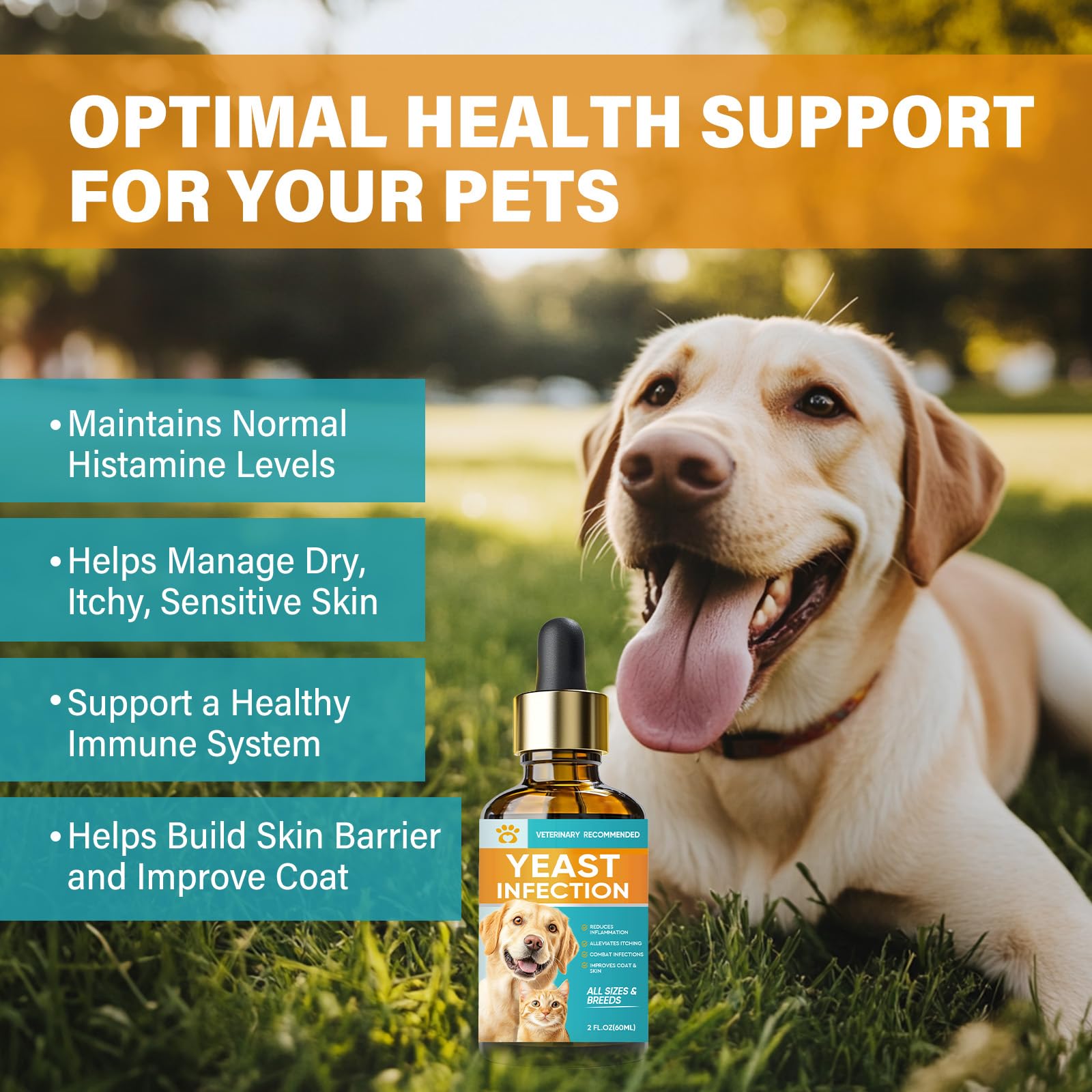 Yeast Infection Treatment for Dogs, Natural Dog Ear Infection Treatment, Support Allergy, Inflammation and Itch Relief