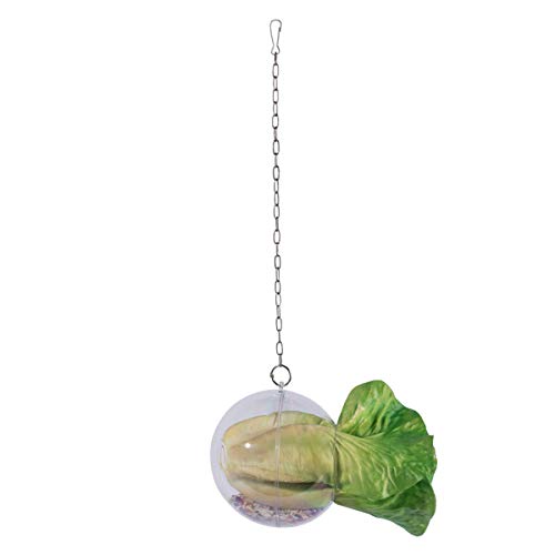 Lanermoon Chicken Hanging Foraging Toys for Hens Feeder Feeding Treat Ball with Veggie and Seed Food for Pet Parrot Bird