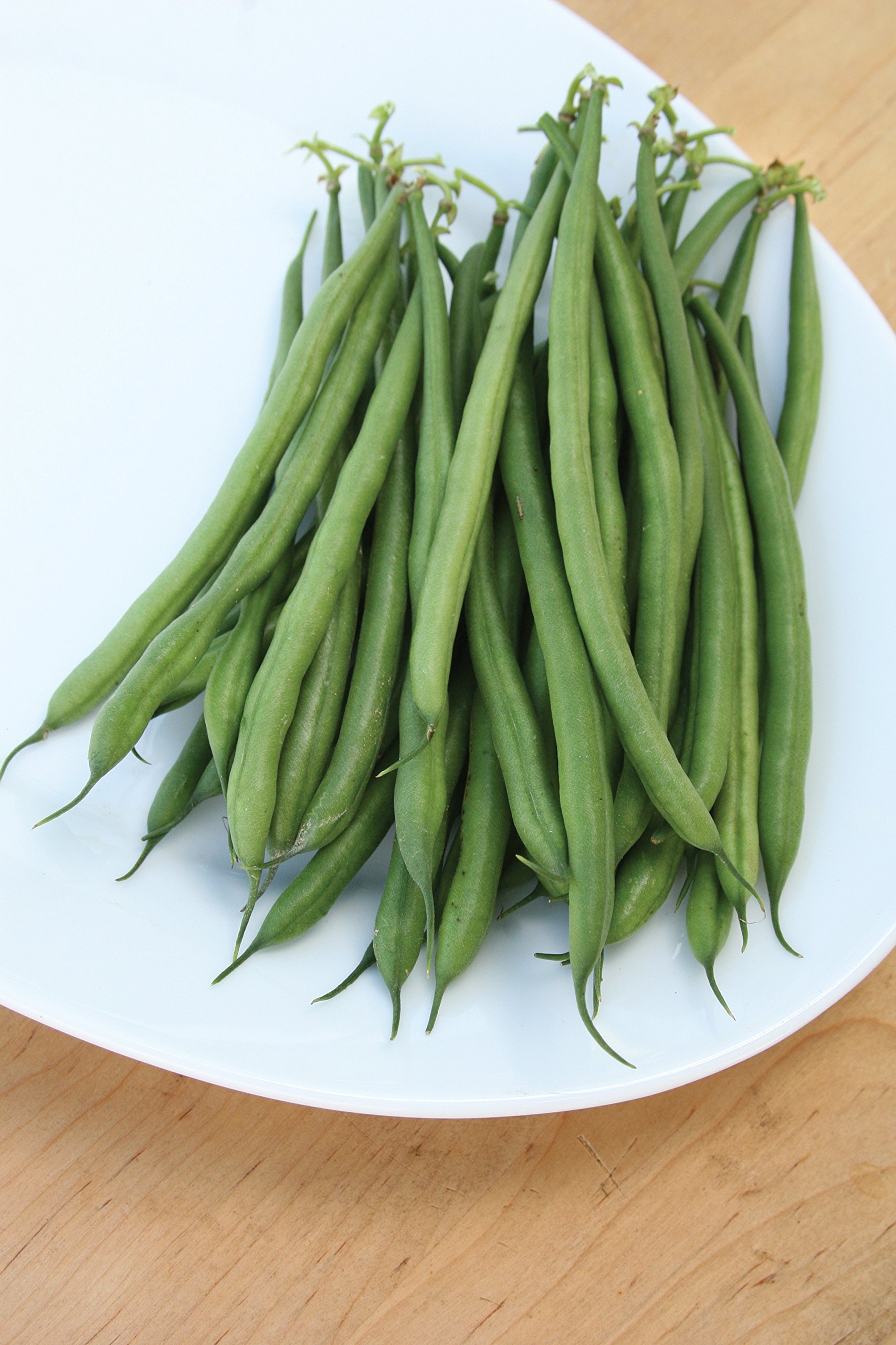 Burpee French Filet Bush Bean Seeds 8 ounces of seed