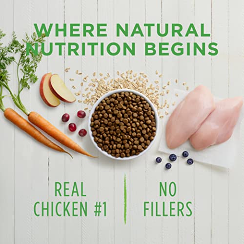 Instinct Be Natural Real Chicken & Brown Rice Recipe Natural Dry Dog Food, 25 lb. Bag