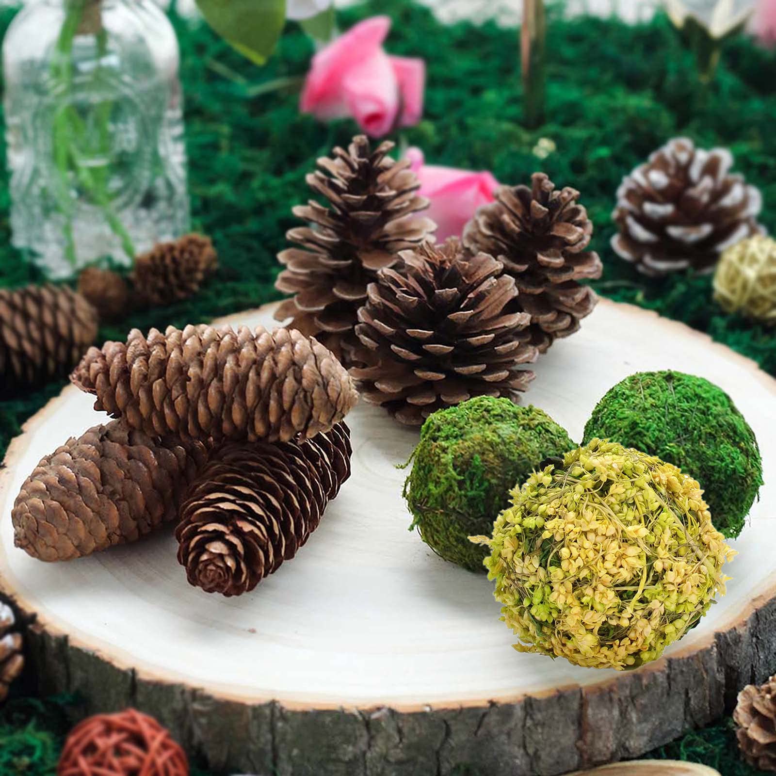 BYHER Natural Preserved Moss Hanging Ball Vase Bowl Filler for Garden, Wedding, Party Decoration (3.5"(6 Pack), Green)