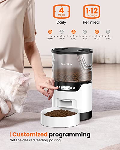 Automatic Cat Feeder, Timed Cat Feeder with Adjustable Feeding Schedule, Cat Dry Food Dispenser, GIOTOHUN pet feeders with Desiccant Bag, 1-4 Meals Per Day, 10s Voice Recorder, Dual Power Supply
