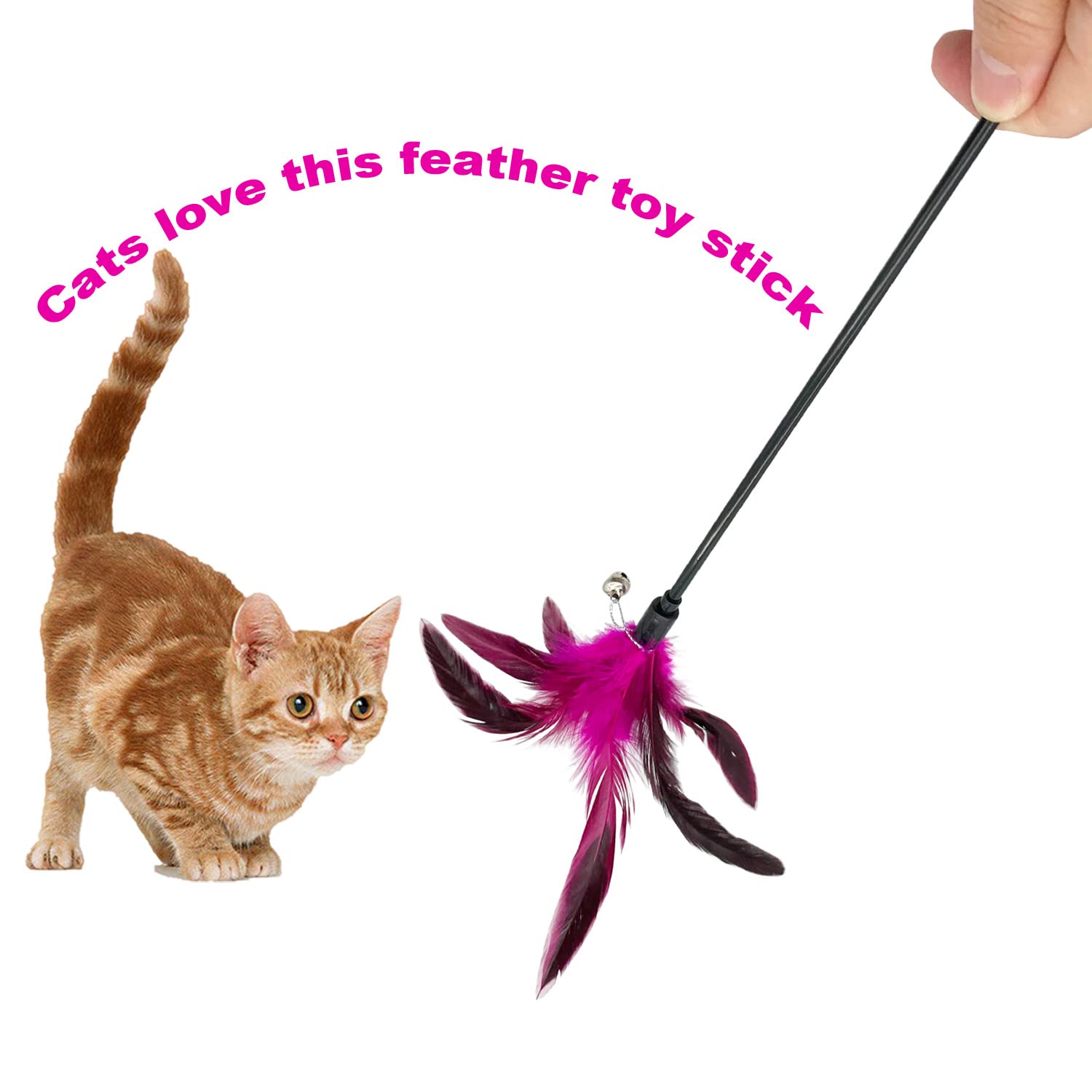 CATENESS Cat Wand Toy Feather Stick Cat Toys, 8 PCS Cat Feather Wand Toys, Interactive Cat Toy Feather Wand for Indoor Cats