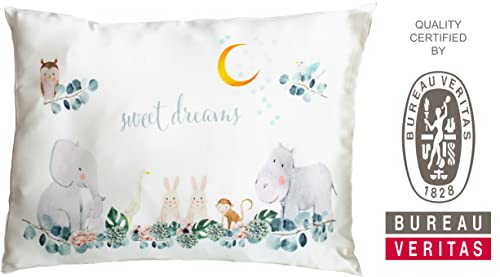 Silky Tales - Toddler Pillowcase 100% Silk - Kids Pillow Cover 13x18 (White with Light Pink and Blue)