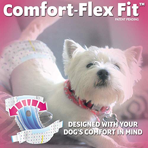 OUT! Pet Care Disposable Female Dog Diapers | Absorbent with Leak Proof Fit | Toy, 32 Count