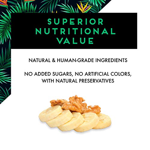 Oven Fresh Bites Baked Birdie Munchies Banana Nut Treats, 4 oz.