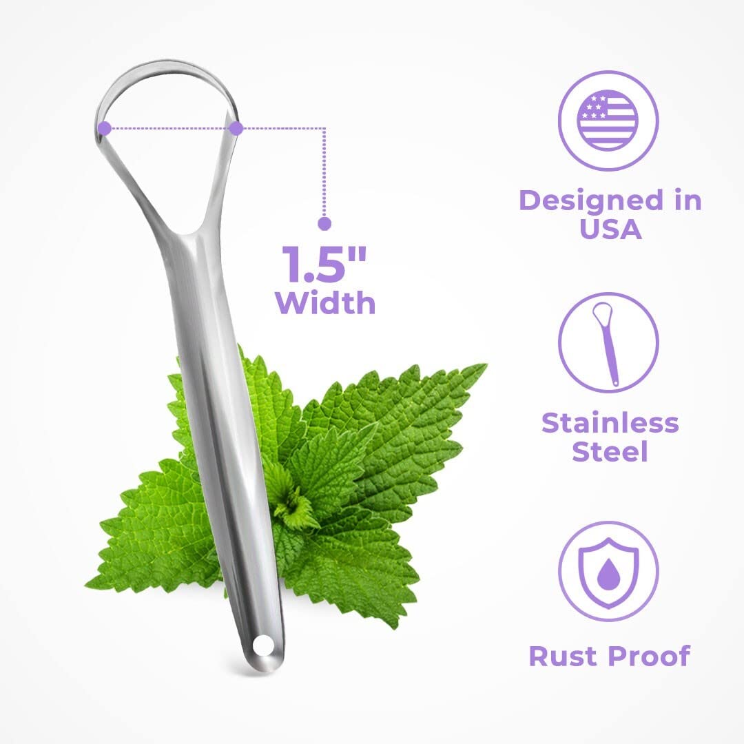 Tongue Scrapers 3 Pack, Single Handle Stainless Steel