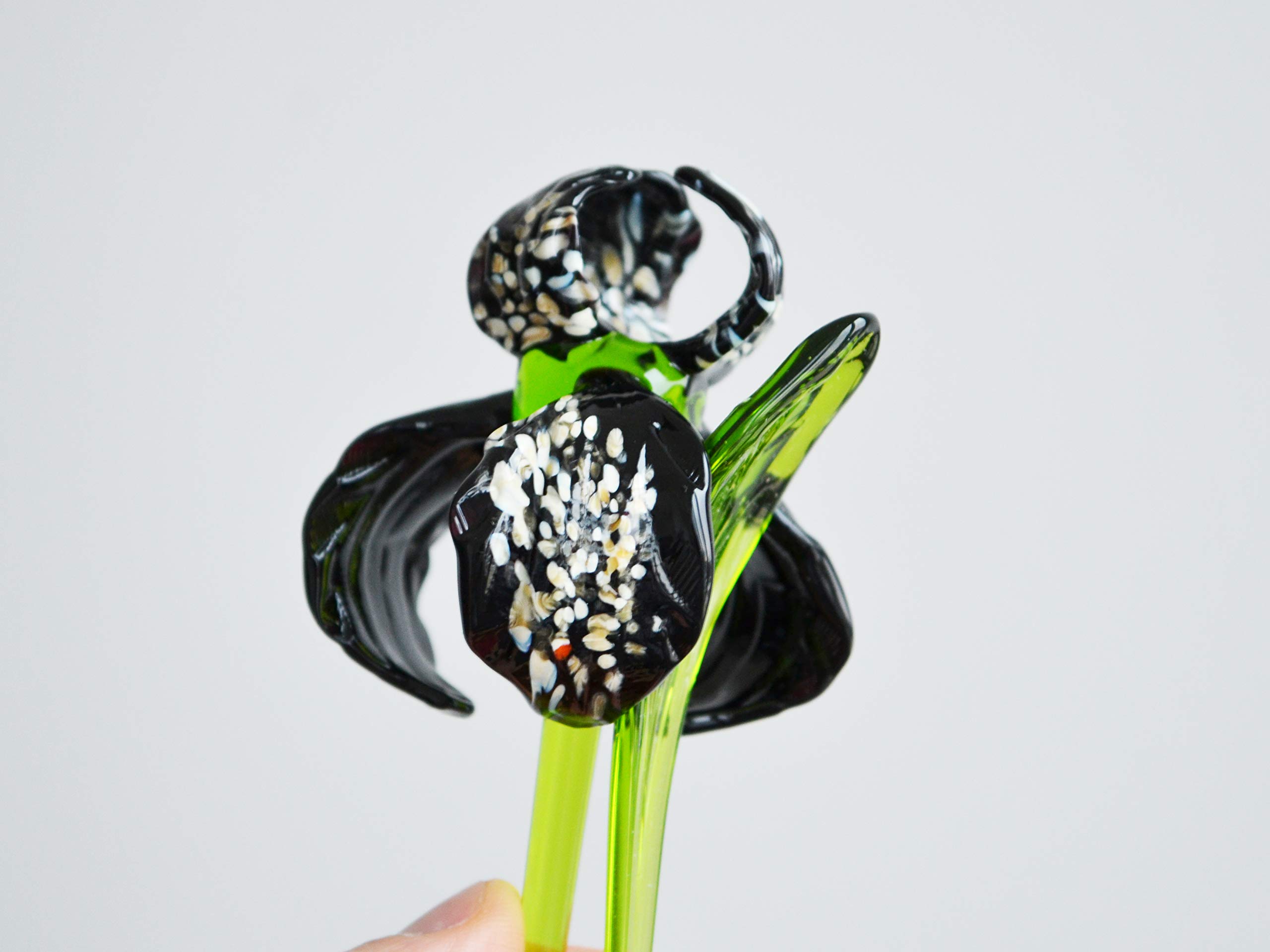 Black Glass Iris with White Spots Flowers Figurine Blown Iris Flower Iris Sculpture Art Glass Iris Flower Murano Long Stem Iris Flowers Garden Iris Ornaments