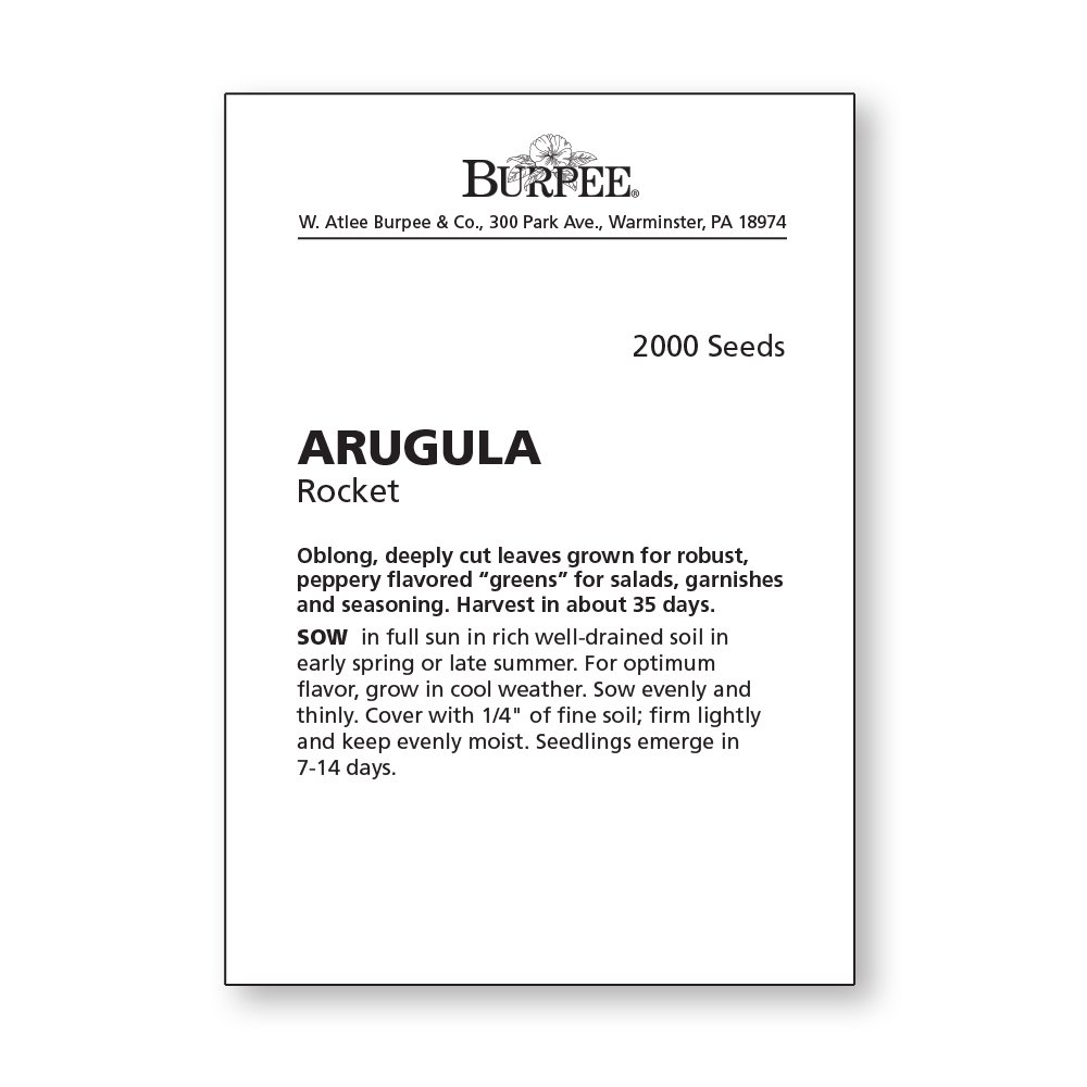 Burpee Rocket Arugula Seeds 2000 seeds