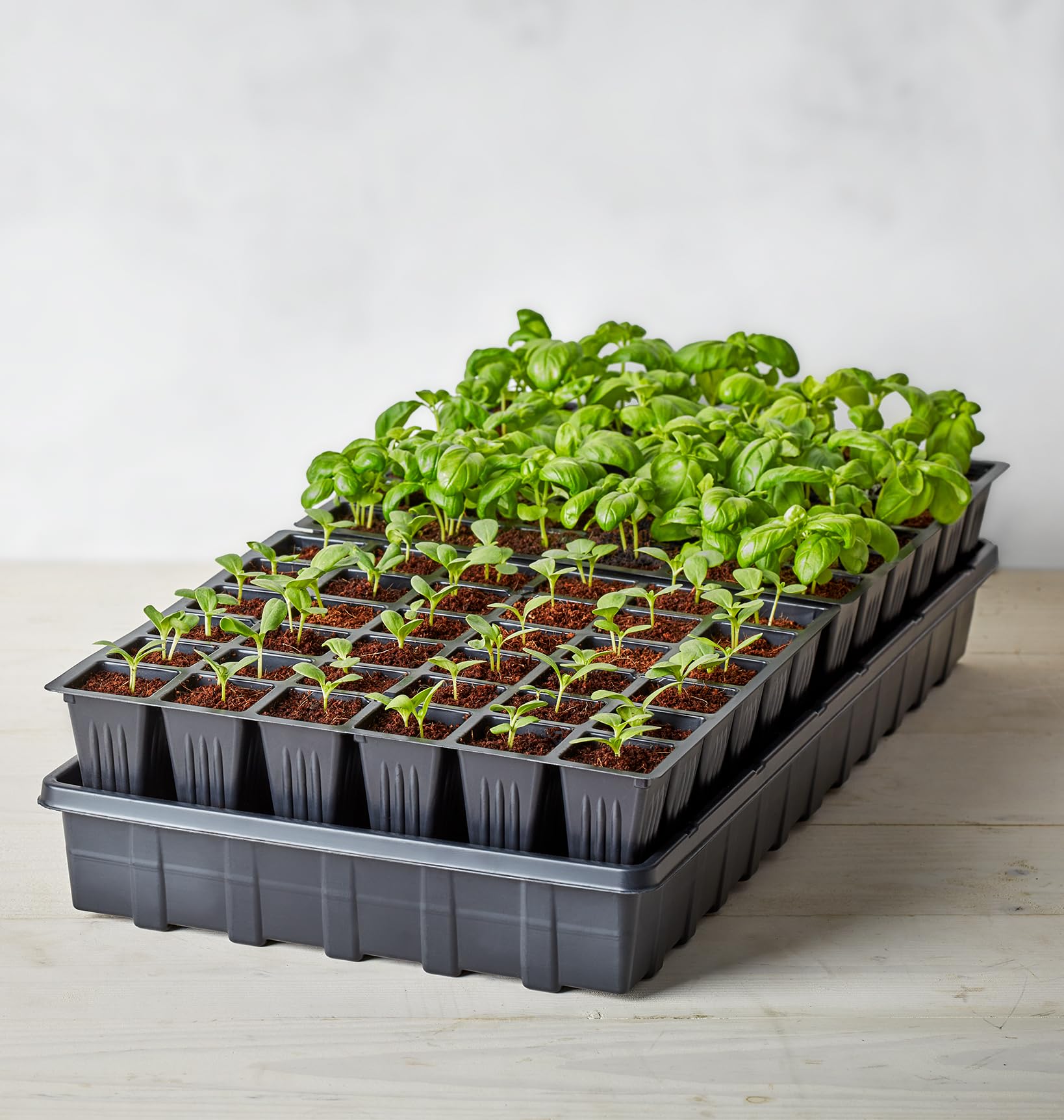 Burpee Self-Watering Seed Starter Tray, 72 Cells
