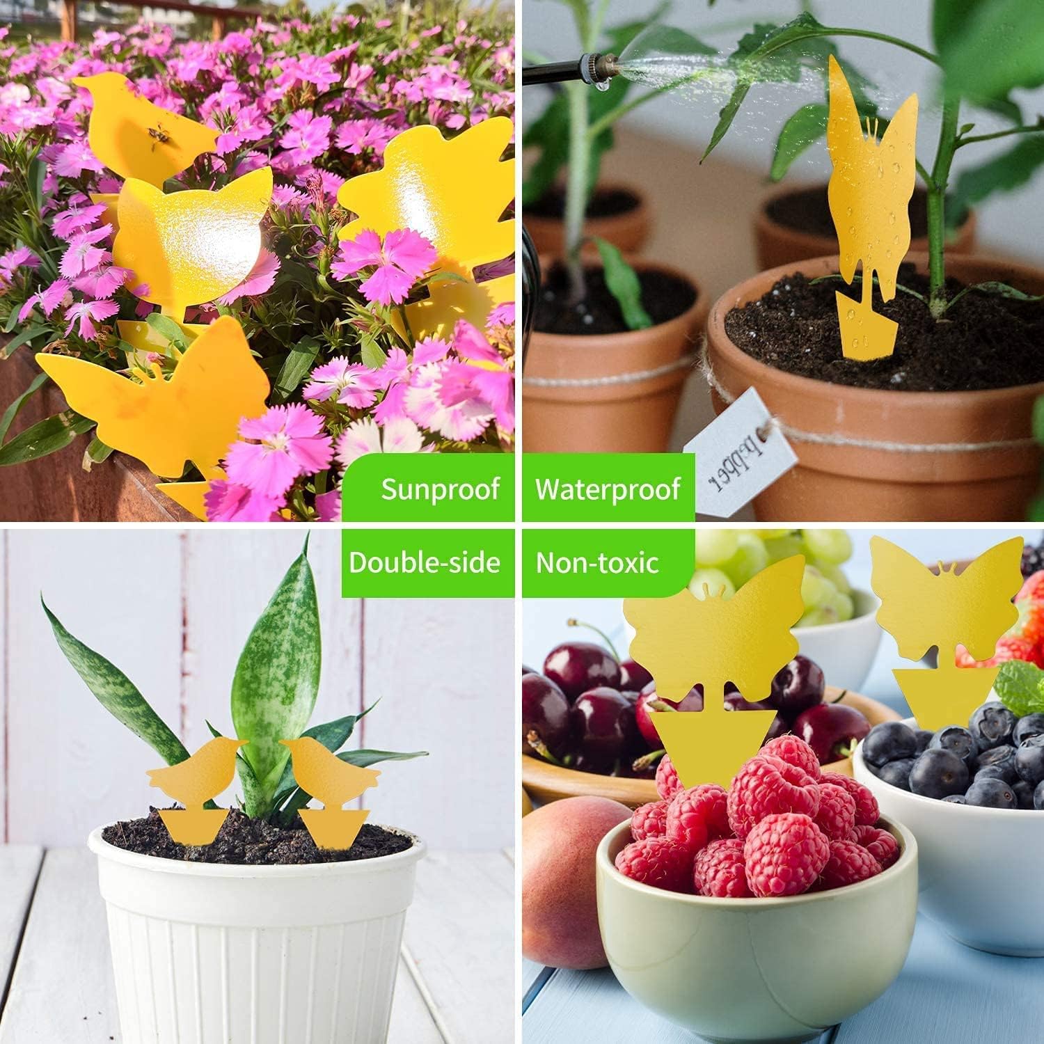 LFSYS 64 Pcs Sticky Traps for gnat, Yellow Stick Traps for Plants, Fungas gnat Traps Double Side with Shovel, Indoor Safe for Gnat, Fruit Fly, White Fly, Aphid, Leaf Miner
