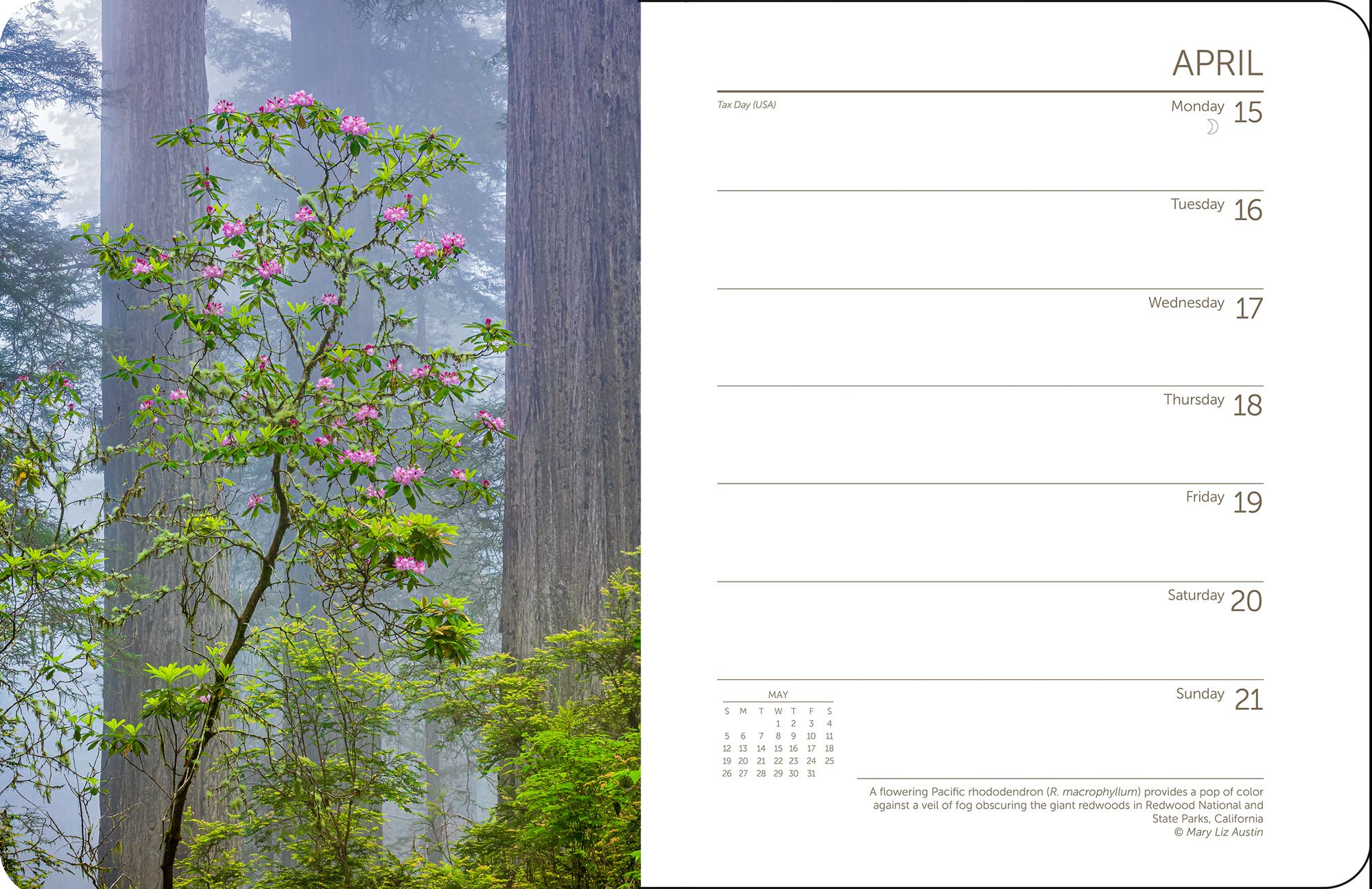 America's National Parks Weekly Engagement Calendar 2024, Planner 6.5" x 8.5" Spiral Bound