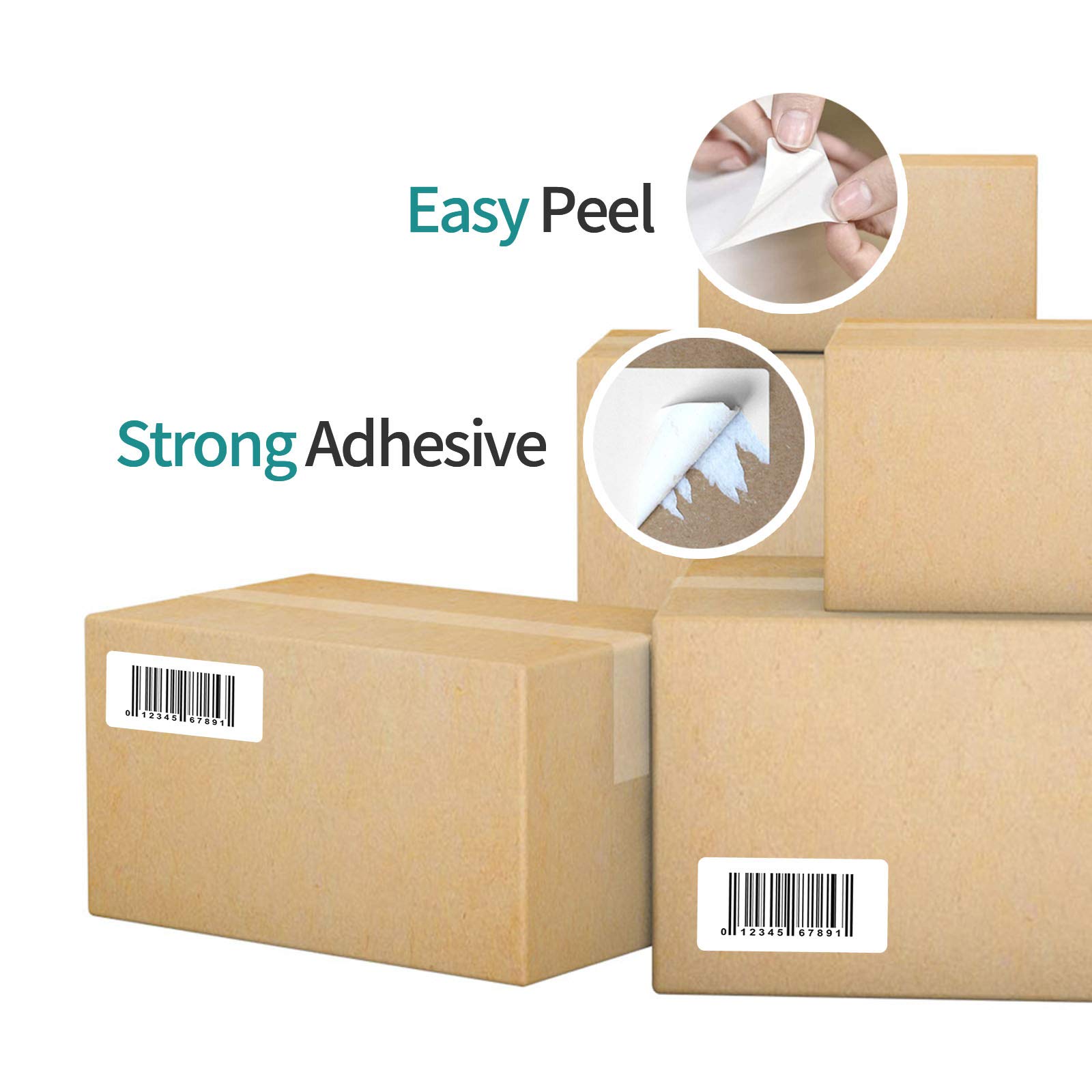 6000 Labels Compatible DYMO 30336 1"x2-1/8" Address & Barcode Labels, LabelChoice 12 Rolls Direct Thermal Labels Replacement Used with Rollo, DYMO Labelwriter 450, 450 Turbo, 4XL & Zebra Printers