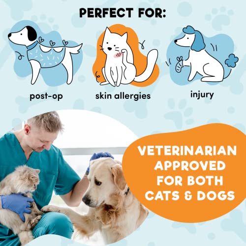 BENCMATE Protective Inflatable Collar for Dogs and Cats - Soft Pet Recovery Collar Does Not Block Vision E-Collar (Large, Rainbow)