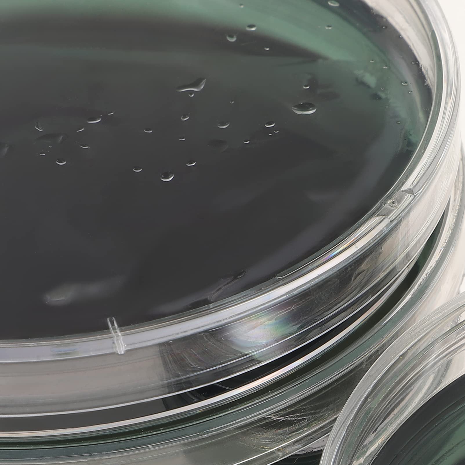 5pcs Prepoured Agar Plate Petri Dishes Growing Kit Science Projects Supplies Culture Dishes for School Science Seedling 9CM