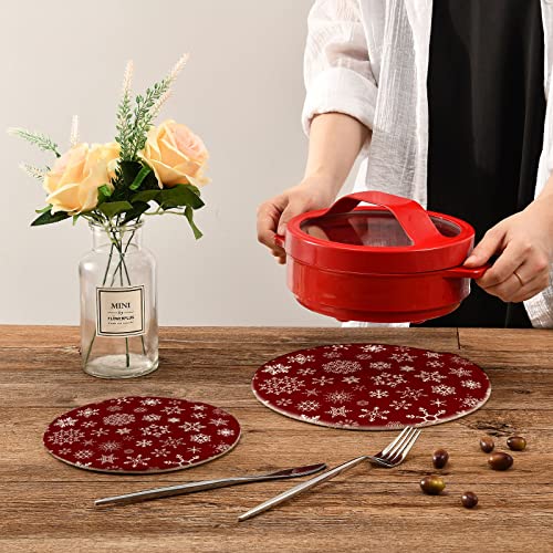 ALAZA Christmas Snowflake Pot Holders Trivets Set 2 Pcs,Potholders for Kitchens,Cotton Coasters Trivets for Hot Dishes/Hot Pots and Pans/Hot Pot Holders