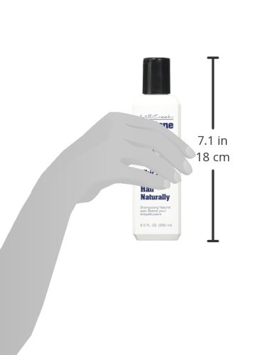 MillCreek Botanical Biotene H-24 Dandruff Shampoo, 8.5 Ounce