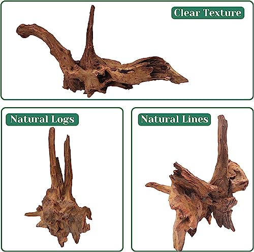 Azil Natural Driftwood for Aquarium Decor Fish Tank Decorations, 3 PCS (6 to 8 Inch) Assorted Branches Decorations on Reptile Tank