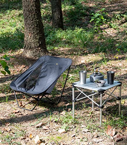 iClimb Low Ultralight Compact Camping Folding Chair with Side Pocket and Carry Bag (Black)
