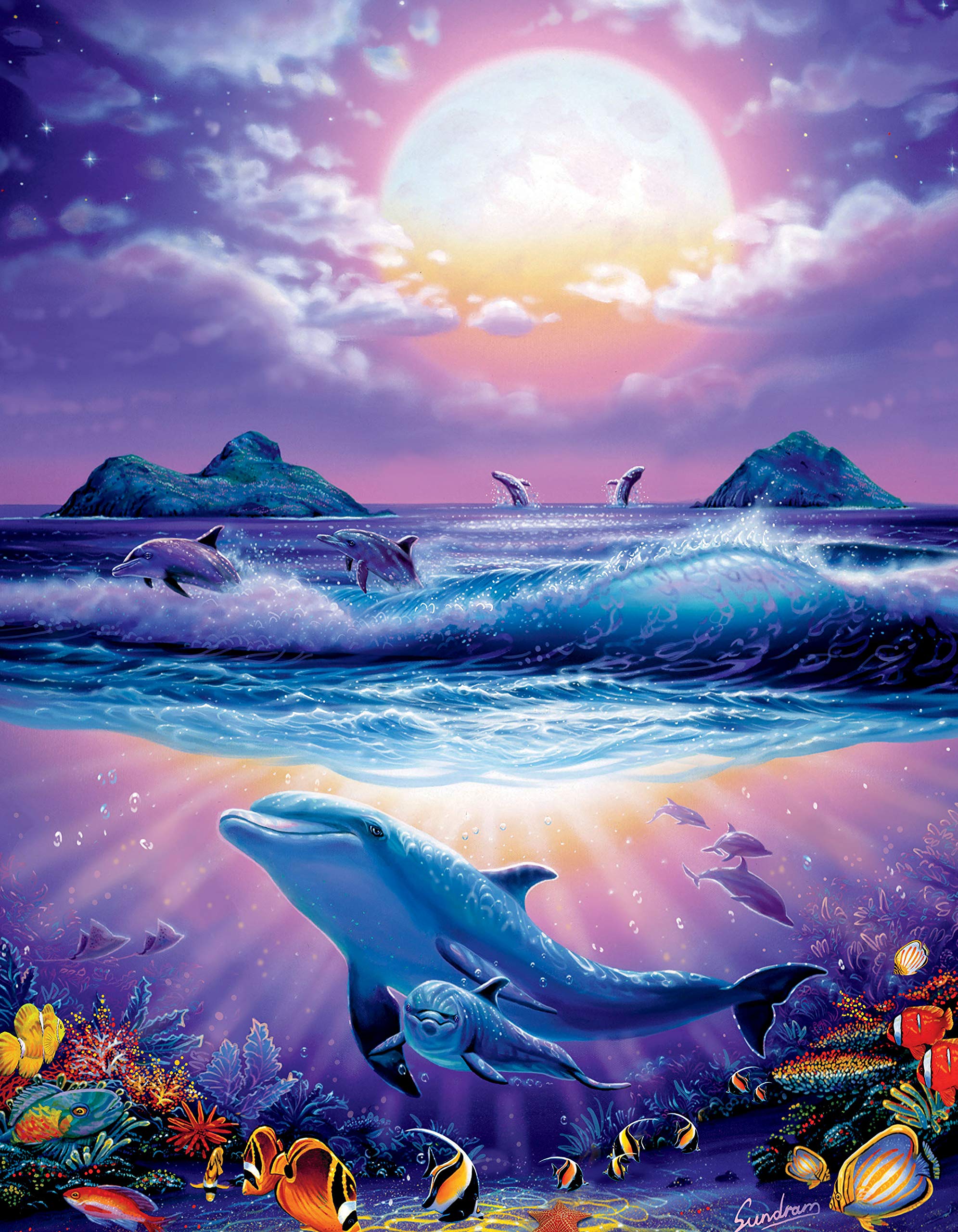 Ceaco - 8 in 1 Multipack - Seaside - (2) Round 300 Piece, (4) 550 Piece, (1) 750 Piece (1) 1000 Piece Jigsaw Puzzles