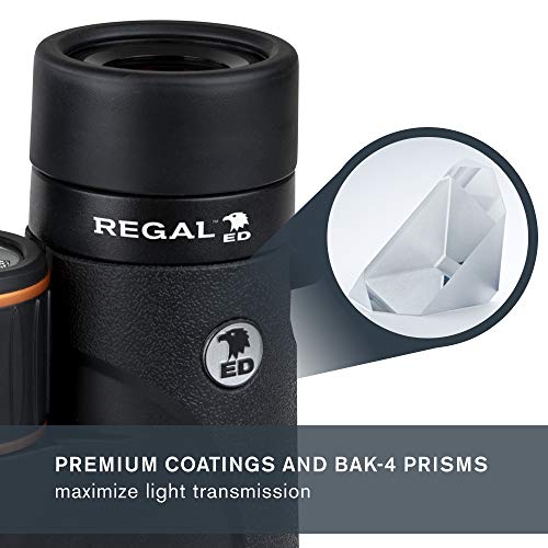 Celestron – Regal ED 8x42 Binocular – ED Binoculars for Birding, Hunting and Outdoor Actvities – Phase and Dielectric Coated BaK–4 Prisms – Fully Multi-Coated Optics – 6.5 Feet Close Focus