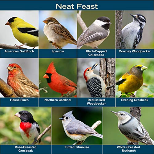 Blue Seal Neat Feast Wild Bird Seed | Convenient Shell-Free Mix | Attracts Wide Variety of Birds | 8 Pound Bag