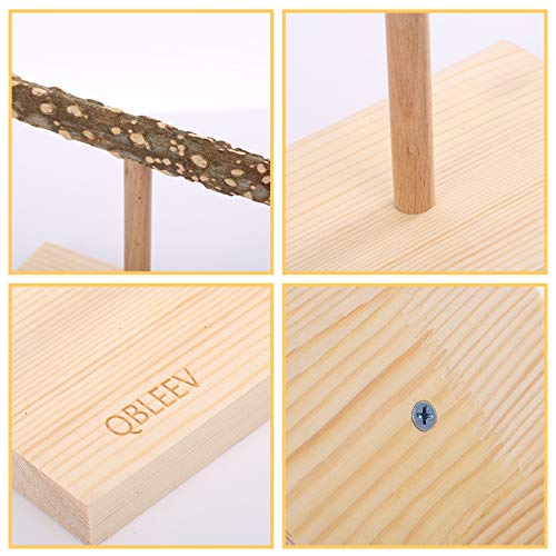 QBLEEV Bird Tabletop Training Stand Perch,Portable Parrot Tee Play Stands, Natural Wood Bird Cage Toys Gym Playground for Small Medium Parakeets Cocktails Conures Lovebirds Finch (Large)