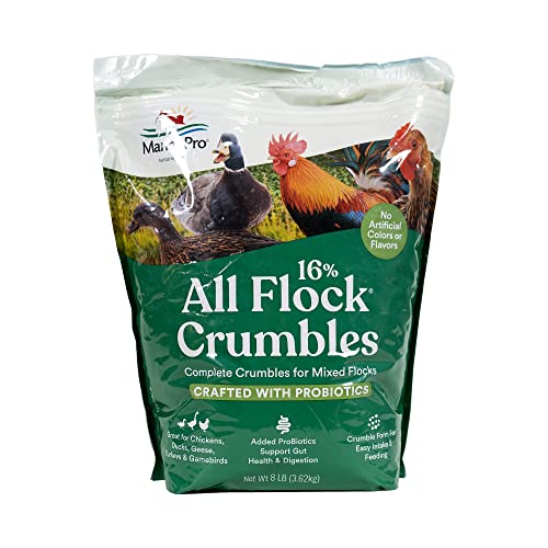 Manna Pro All Flock Crumbles | 16% Protein Level | Complete Feed for Chickens, Ducks, Geese, Turkeys and Gamebirds | Probiotics to Support Digestion | No Artificial Colors or Flavors | 8 Pounds WHITE