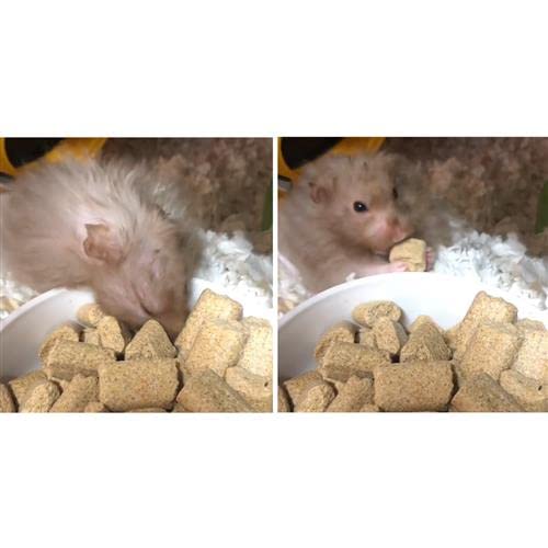 Rodent Blocks - Nutritional Rodent Food - for Rats, Mice, Squirrels, Degus (3 lb.)