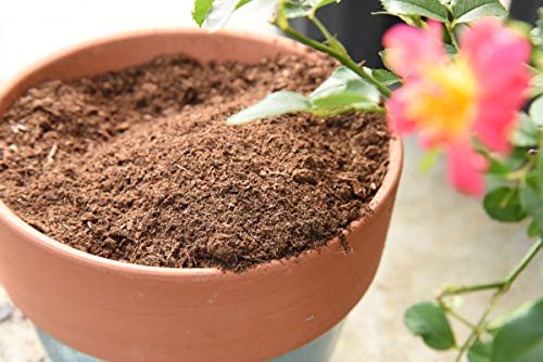 Organic Sphagnum Peat Moss by Perfect Plants - Absorbs Essential Nutrients When Added to Soil and Enriches Plant Roots - Indoor and Outdoor Use (8qts.)