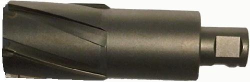 Champion CT400-3/4 RotoBrute 3/4-Inch Carbide Tipped Annular Cutter