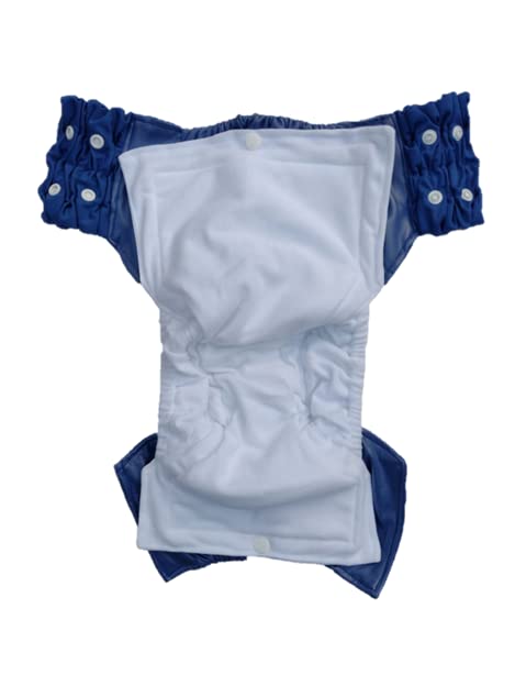 Night Time Washable Cloth Pull Up Diapers for Toddlers and Preschoolers, Ages 2 Years to 6 Years (Royal Blue, Small (2-4 Years))