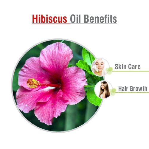 Hibiscus (Hibiscus Sabdariffa L) Essential Oil 100% Pure Uncut Undiluted Cold Pressed Herbal Premium Aromatherapy Oil 50ML