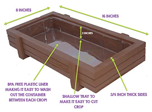 MICROGREEN PROS Cat Grass for Indoor Cats Kit with Rustic Wood Planter, Certified Organic Seeds, Soil, Water Spray Bottle and Easy to Follow Instructions. 100% Guaranteed to Grow.
