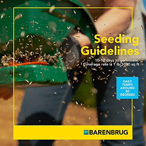Barenbrug PanAm Bermudagrass with Yellow Jacket Coating - Grass Seed for Sunny Areas and Humid Climates - New and Improved Blend, (1 LB Bag)