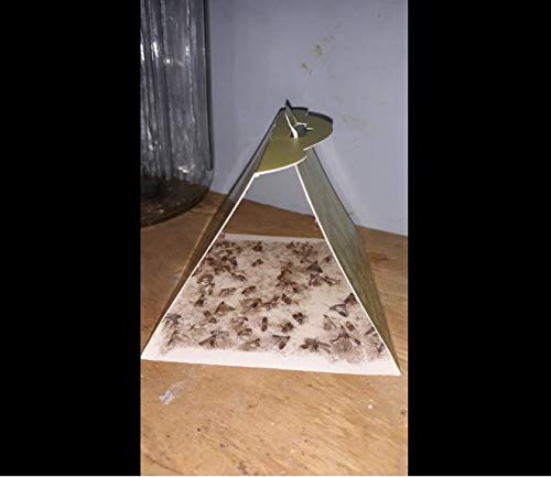 Superior Pantry Moth Traps with Pheromones Prime | No Insecticides | Safe, Non-Toxic and Child and Pet Friendly | Superior Attractant - 6 Traps