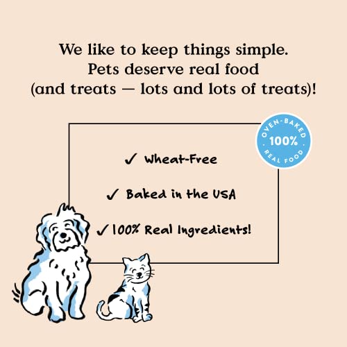 Bocce's Bakery All-Natural, Seasonal, Scardey Snacks Cat Treats, Wheat-Free, Limited-Ingredient Soft & Chewy Treats Inspired by Halloween, 2 oz