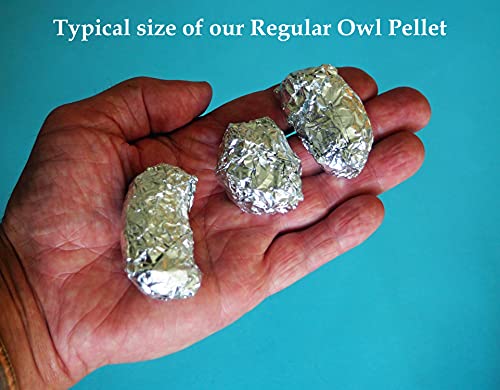 P1-100 Bargain Bucket, 100 Regular Owl Pellets with Teachers Guide and Bone Sorting Sheets