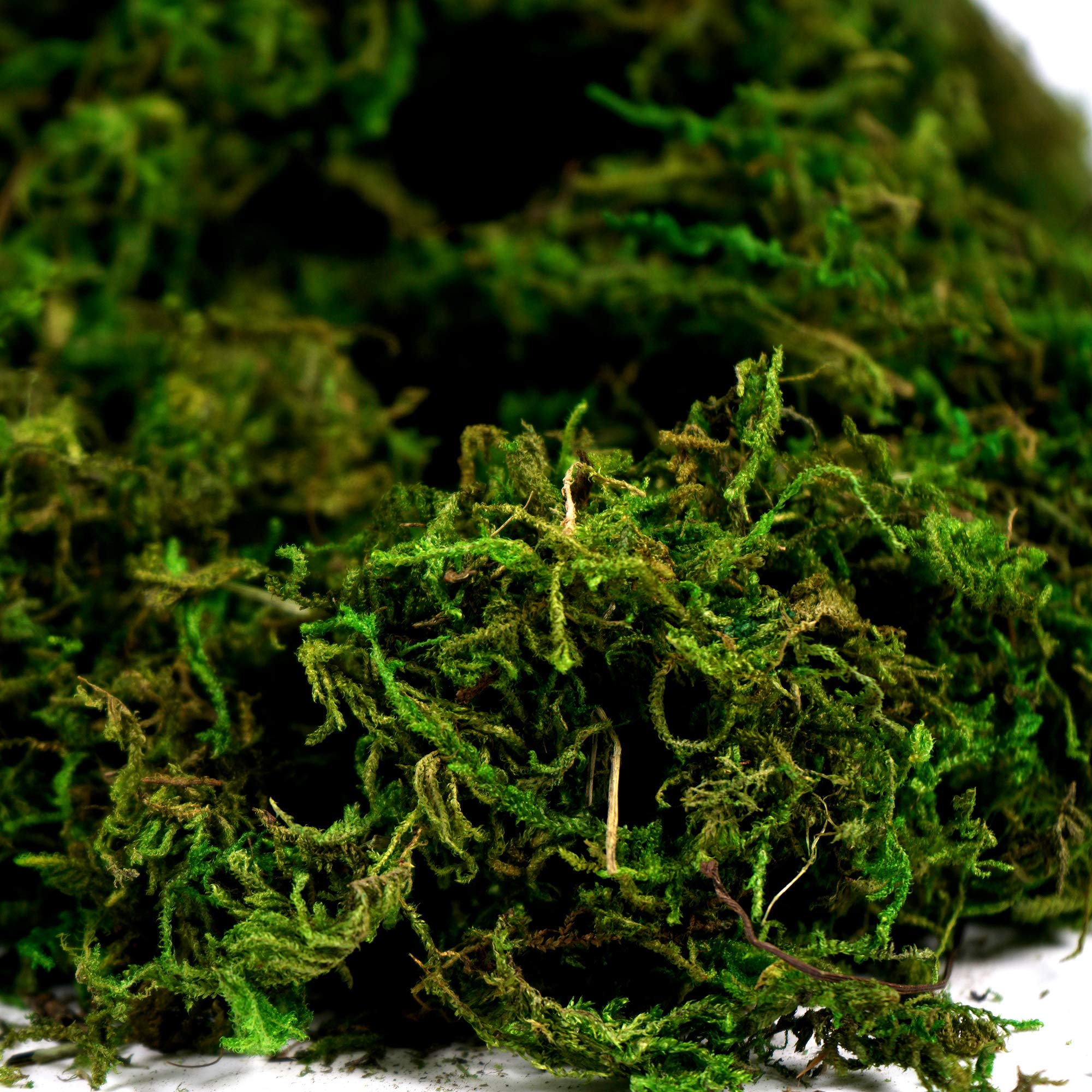 BYHER Artificial Moss Fake Green Grass for Centerpieces Home Kitchen Garden Decor (8OZ, Fresh)