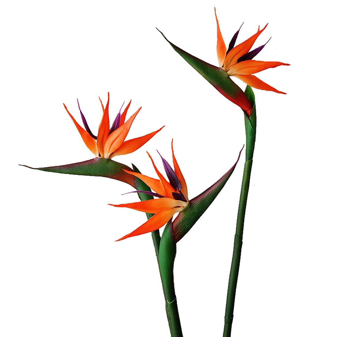 Calcifer 32'' Real Touch Bird of Paradise Artificial Flowers Bouquet for Home Garden Decoration/Wedding Party Decor (Goldenrod,5 Stems)