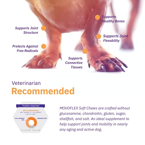 MOVOFLEX Joint Support Soft Chews for Dogs Small 120Count, Brown