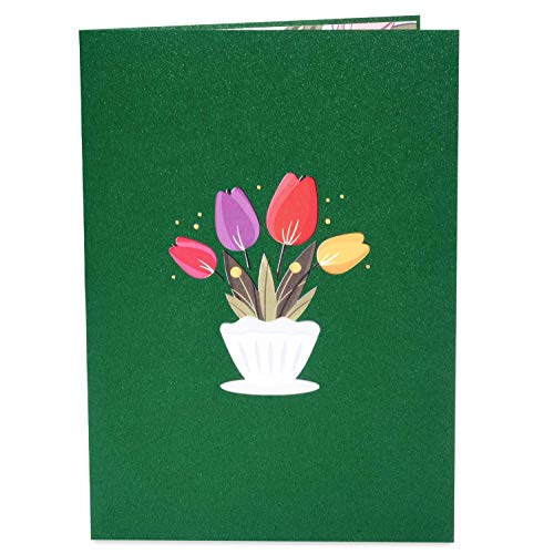 Paper Love 3D Pop Up Card, Tulips, Handmade 3D Popup Greeting Cards, For Thinking of You, Thank You, Sympathy, Wedding, Anniversary, Get Well, Just Because, Mother's Day, Valentine's Day, All Occasion, 5" x 7"