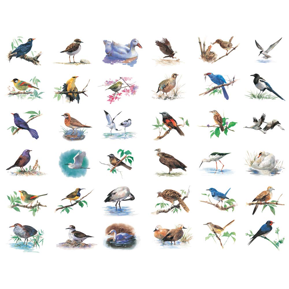Seasonstorm Watercolor Birds Precut Cute Aesthetic Diary Travel Paper Junk Journal Stickers Scrapbooking Stationery Sticker Flakes Art Supplies (PK351)