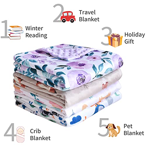 Baby Blankets for Boys Girls Soft Minky Blanket for Newborn Infant Toddler Used for Crib Stroller Nursery (Butterfly)